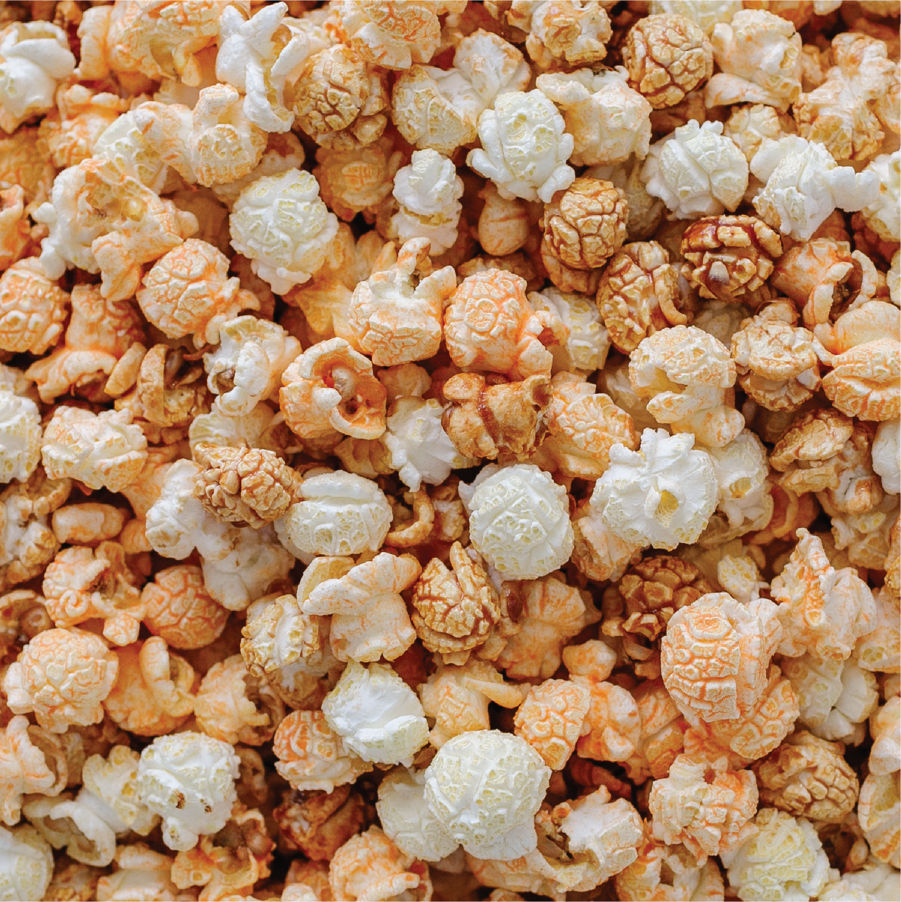 All Kinds Of Popcorn For All Kinds Of People – Miss Hannah's Gourmet ...